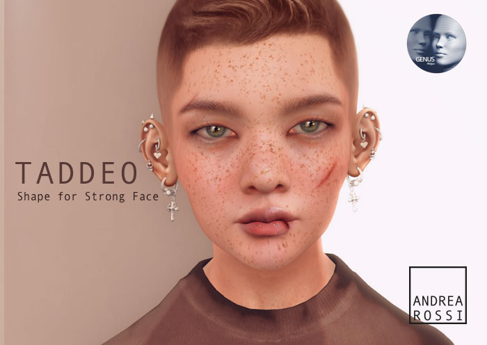Second Life Marketplace - SHAPE Genus Strong Face GIFT Legacy (m) _TADDEO