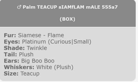 Second Life Marketplace - TEACUP KittyCatS Box - TEACUP Siamese - Flame ...