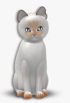 Second Life Marketplace - TEACUP KittyCatS Box - TEACUP Siamese - Flame ...