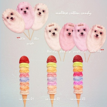 Second Life Marketplace - Pink Acid Maltese Cotton Candy Stick Blue