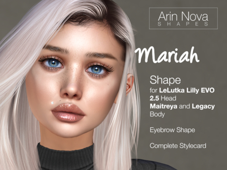 Second Life Marketplace - ArinNova-Shape-Mariah LeLutka Lilly Head 2.5