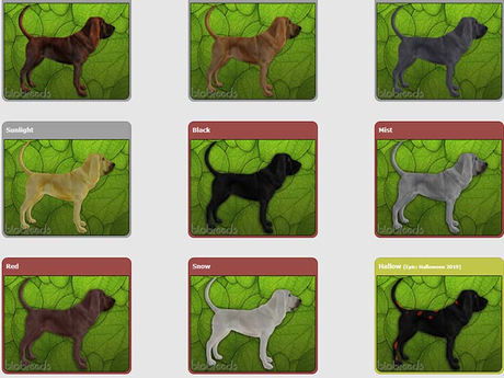 Second Life Marketplace - BB BLH Box Male STARTER