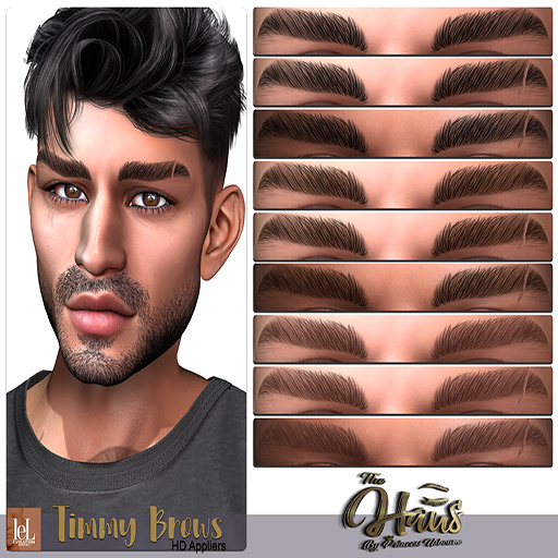 Second Life Marketplace - .:the-HAUS:. Timmy HD Eyebrows (LeL) (homme)