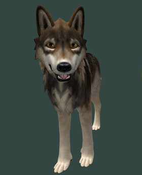 Second Life Marketplace - The Texture Barn - Black Sable for TWI Mesh ...