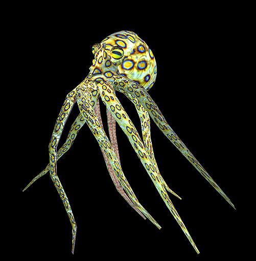 Second Life Marketplace - Dancing Octopus Avatar