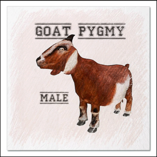 Second Life Marketplace - DFS Goat Pygmy - Male