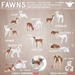 Second Life Marketplace - +Half-Deer+ Fawn - Grazing (Snow)
