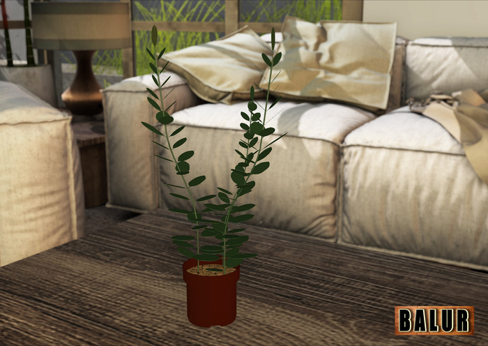 Second Life Marketplace - [BALUR] -indoor plant 02