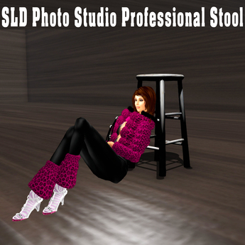 Second Life Marketplace - SLD Professional Photo Studio Stool - 45 Sits ...