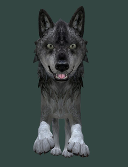 Second Life Marketplace - The Texture Barn - Silver Black for TWI Mesh ...