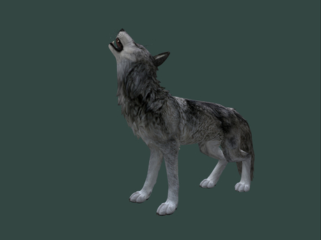 Second Life Marketplace - The Texture Barn - Silver Black for TWI Mesh ...