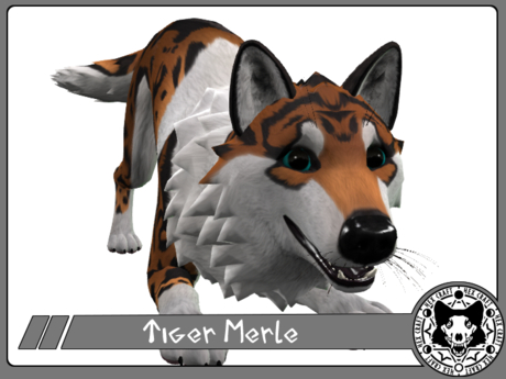 Second Life Marketplace - +HexCraft+ TWI Tiger Merle Mod