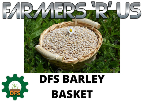 Second Life Marketplace - DFS Barley Basket