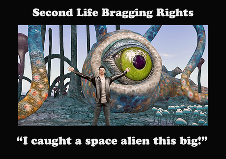 Second Life Marketplace - =W= Bragging Rights - poster
