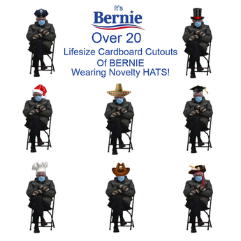 Second Life Marketplace - Lifesize Cardboard Cutout of BERNIE (BOXED)