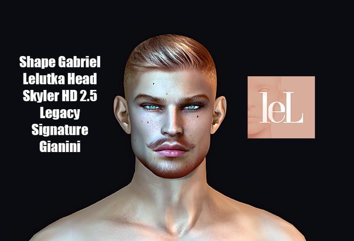 Second Life Marketplace - *ULs-SHAPE Gabriel- LELUKA HEAD SKYLER HD