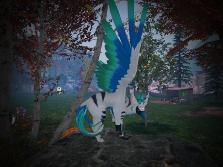 Second Life Marketplace - BrdMrt Exotic Griffin