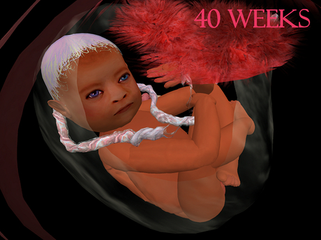Second Life Marketplace - INNER CHILD - It's a HYBRID GIRL HUMAN/DROW ...