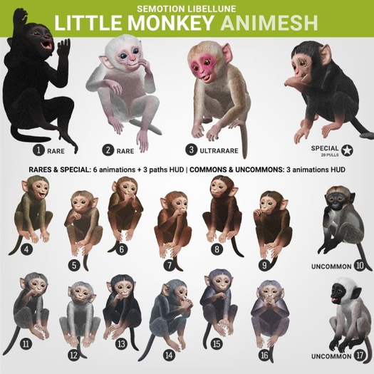 Second Life Marketplace - SEmotion Libellune Little Monkey Animesh #17 ...