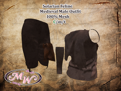 Second Life Marketplace - Solarian Feline Medieval Male outfit