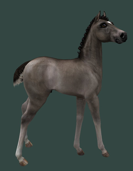 Second Life Marketplace - Teegle Texture Pack - Fuzzy Foal - Black or Dun