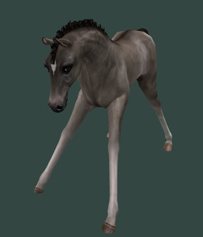 Second Life Marketplace - Teegle Texture Pack - Fuzzy Foal - Black or Dun