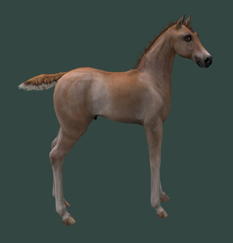 Second Life Marketplace - Teegle Texture Pack - Fuzzy Foal - Light Sorrel
