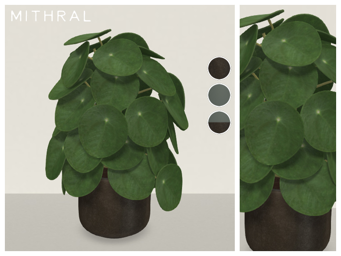 Second Life Marketplace - Mithral * Full Pilea Peperomioides (Pack C)