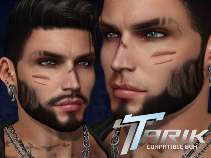 Second Life Marketplace - -- T. TARIK -- Pack ' Beard 11 //12 BOM ...