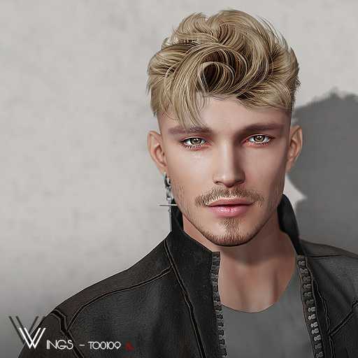 Second Life Marketplace - WINGS-HAIR-TO0109 Gray (Pack)