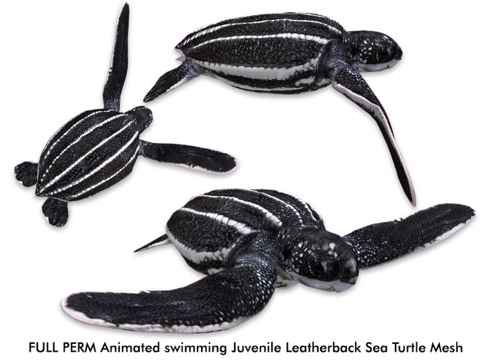 Second Life Marketplace - FULL PERM Animated swimming Leatherback Sea ...