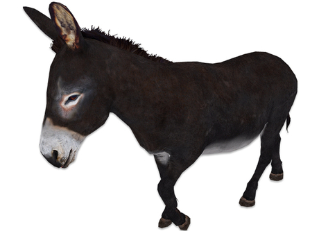 Second Life Marketplace - Full Perm High Quality Animated Donkey Pack Mesh