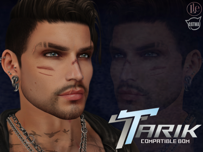 Second Life Marketplace - -- T. TARIK -- Pack ' Beard 09 // BOM ...