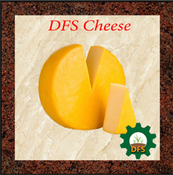 Second Life Marketplace - DFS Cheese x 10