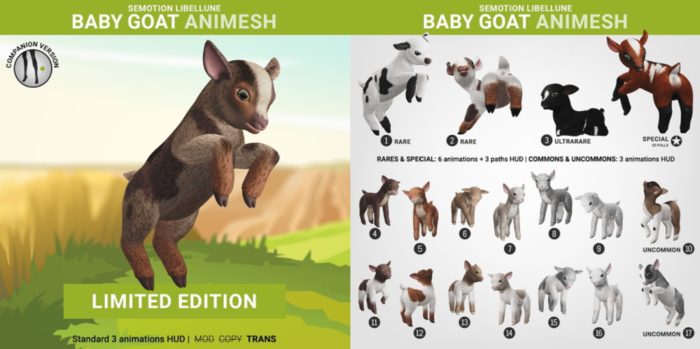 Second Life Marketplace - SEmotion Libellune Baby Goat Animesh #6