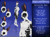 Second Life Marketplace - SKS Splotchy Rex Rabbit Black