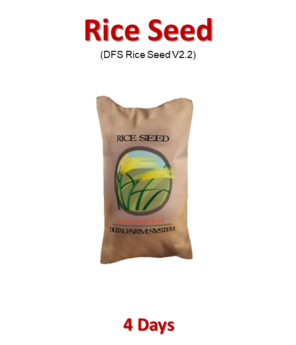 Second Life Marketplace - DFS Rice Seed V2.2 (Texture)