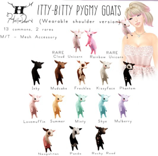 Second Life Marketplace - +H-Dr+ Itty-Bitty Pygmy Goat - Rocky Road ...