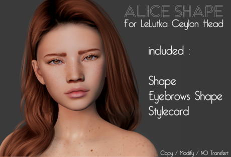 Second Life Marketplace - [PB] Alice Shape - LeLUTKA Ceylon Head