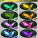 Second Life Marketplace - WW_Egg Uncommon Fairy 5.0.0 Set