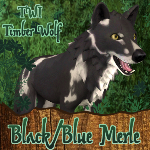 Second Life Marketplace - Blue/Black Merle [TWI Wolf]