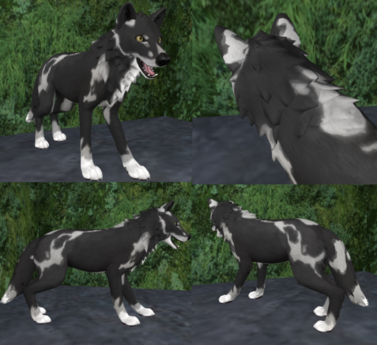 Second Life Marketplace - Blue/Black Merle [TWI Wolf]