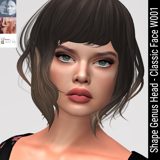 Second Life Marketplace - Shape Genus Head - Classic Face W001/Maitreya ...