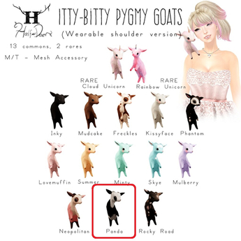 Second Life Marketplace - +H-Dr+ Itty-Bitty Pygmy Goat - Panda (Shoulder)