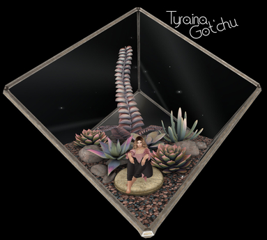Second Life Marketplace - Trompe Loeil - Terrarium Gacha Cube