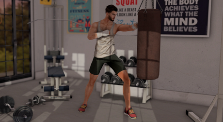 Second Life Marketplace - ACT5-620-Male Boxer Set of 3 Poses (Unisex) BOXED