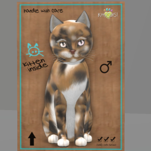 Second Life Marketplace - KittyCatS Box - New Born Kitten