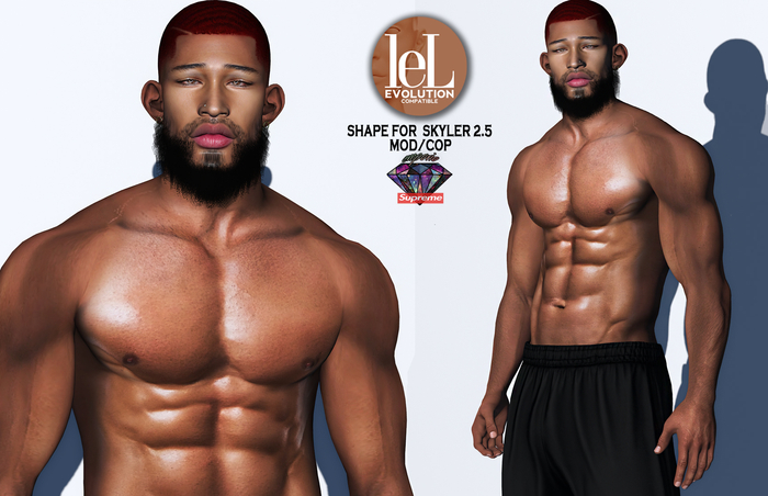 Second Life Marketplace - [ES] TREVOR SHAPE HEAD Lelutka SKYLER 2.5 ...