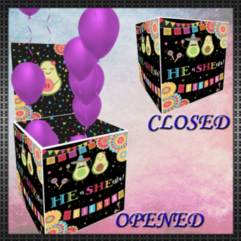 Second Life Marketplace - {SSD} HE or SHE esta?~Gender Reveal (TRIPLETS)