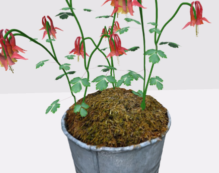 Second Life Marketplace - Wild Columbine in Metal Pot with Moss